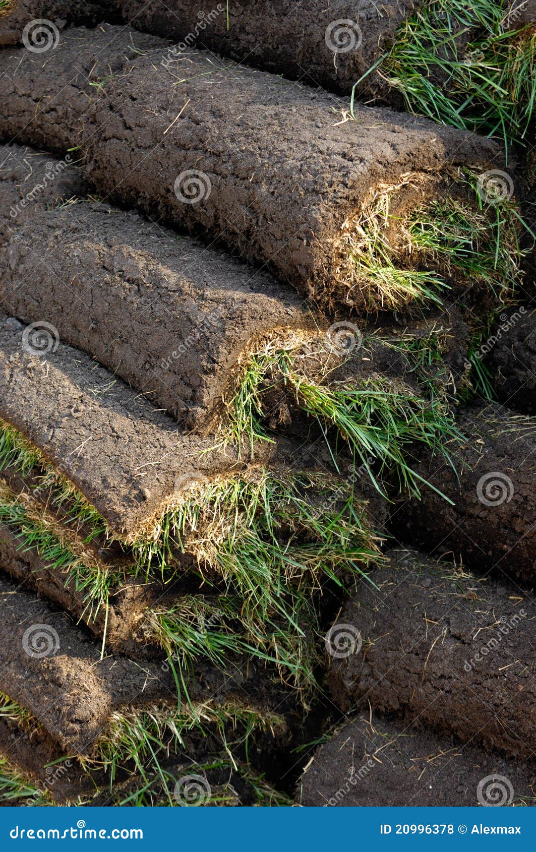 Lawn Turf Rolls stock photo. Image of pile, rolls, lawn - 20996378