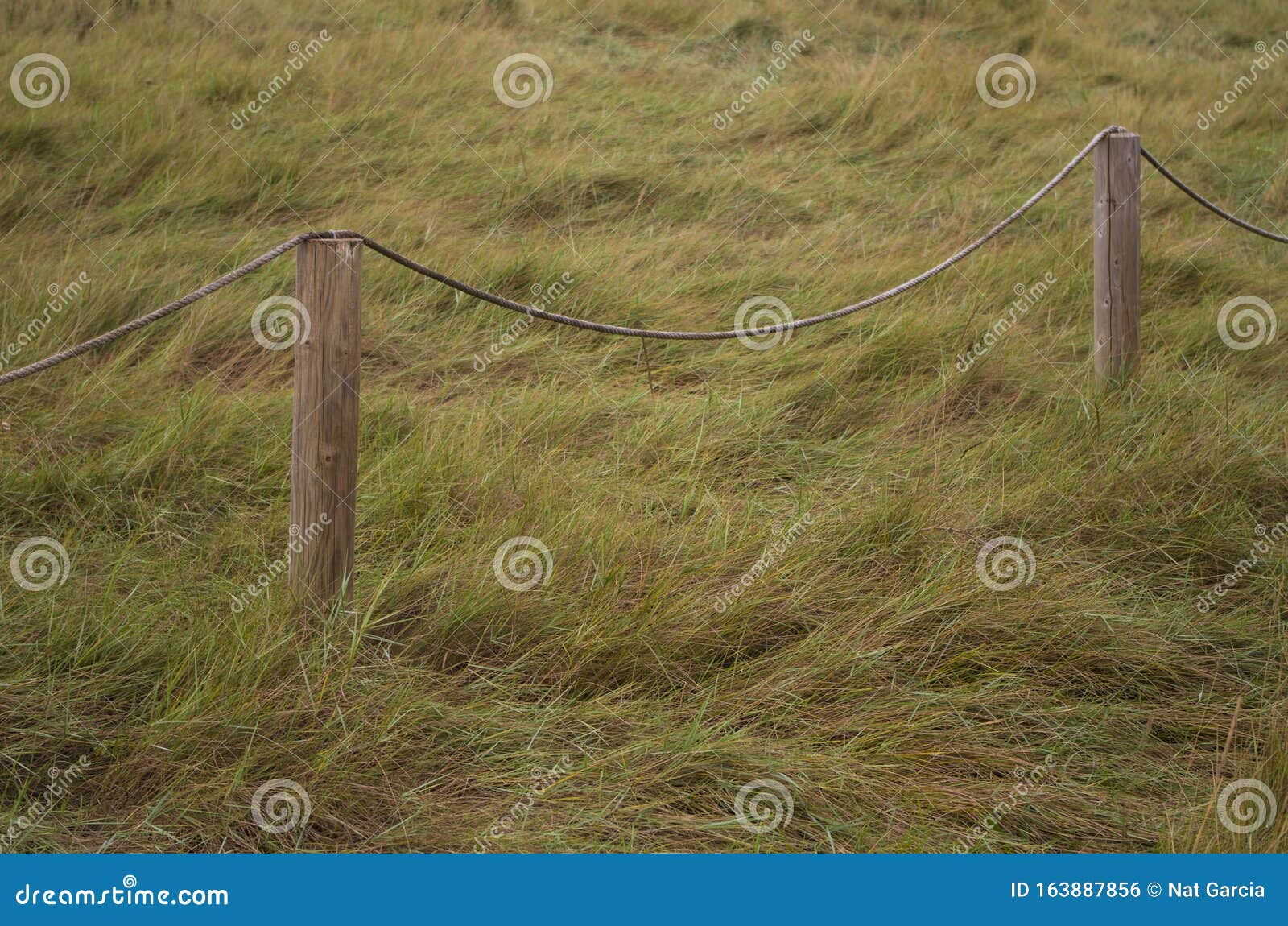Lawn with Wooden Posts and Rope Stock Photo - Image of rope, lawn ...