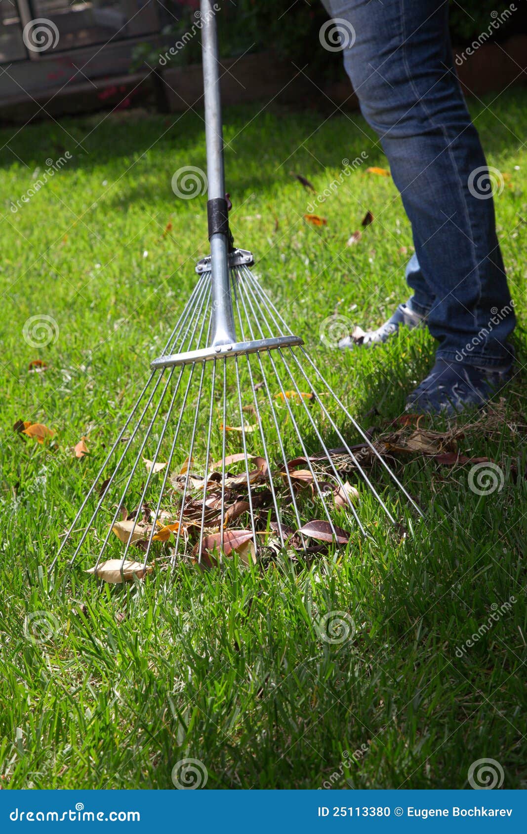 Lawn Work stock photo. Image of care, activity, equipment - 25113380