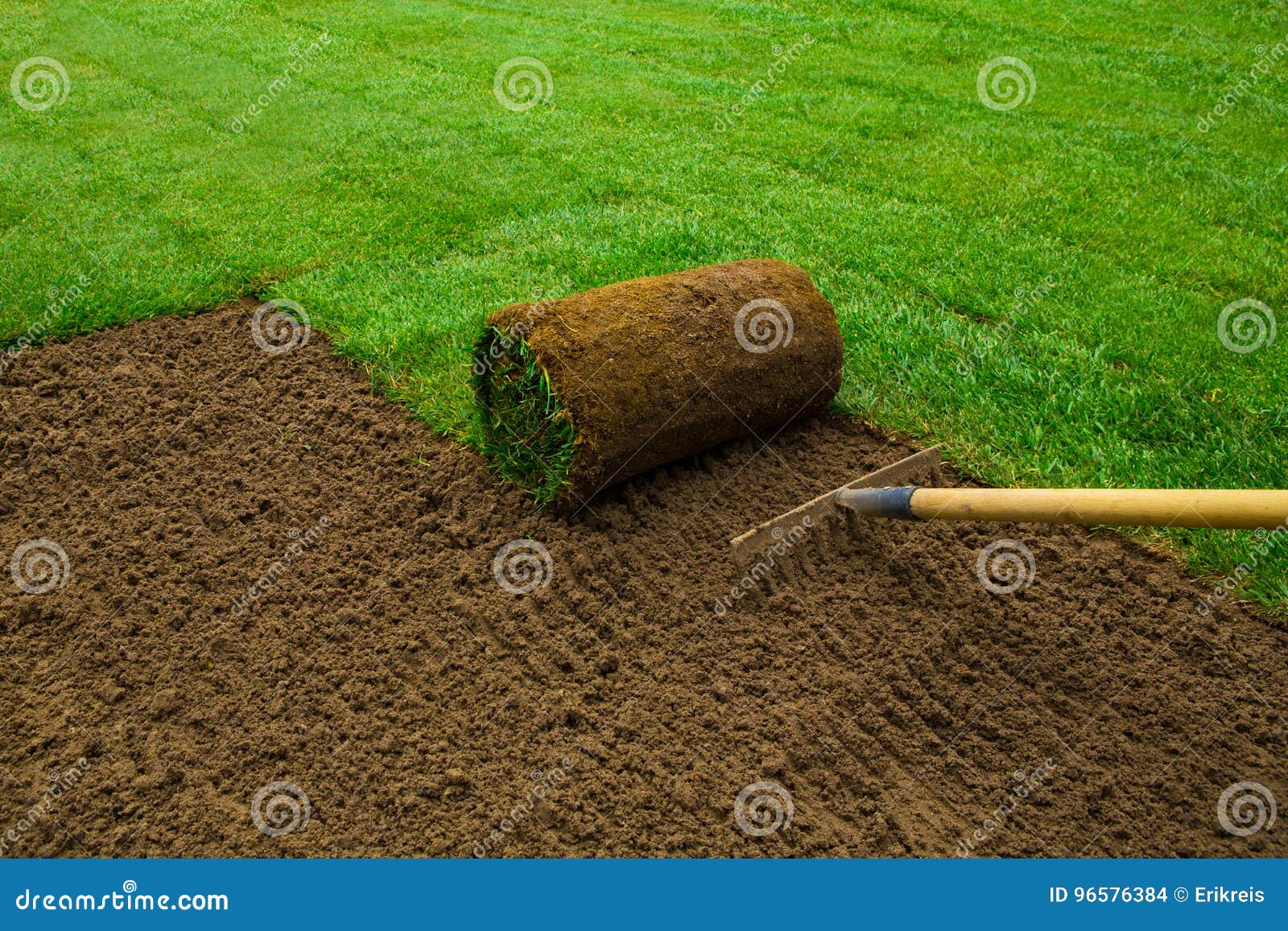 Lawned garden stock photo. Image of roll, gardener, growing - 96576384