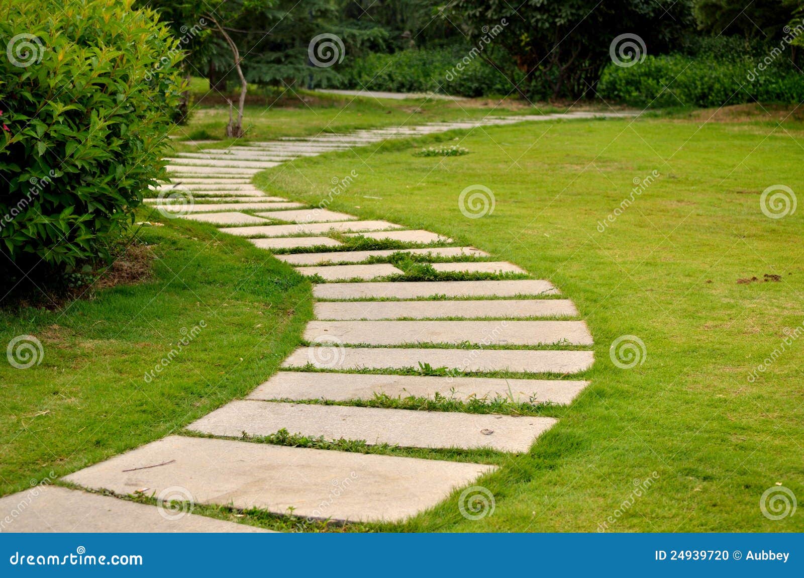 Lawns and paths stock photo. Image of leisure, curve - 24939720