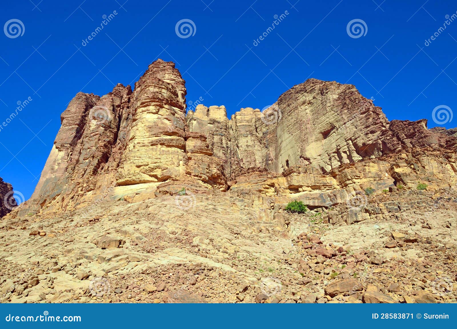 Lawrence s Spring stock image. Image of east, lawrences - 28583871