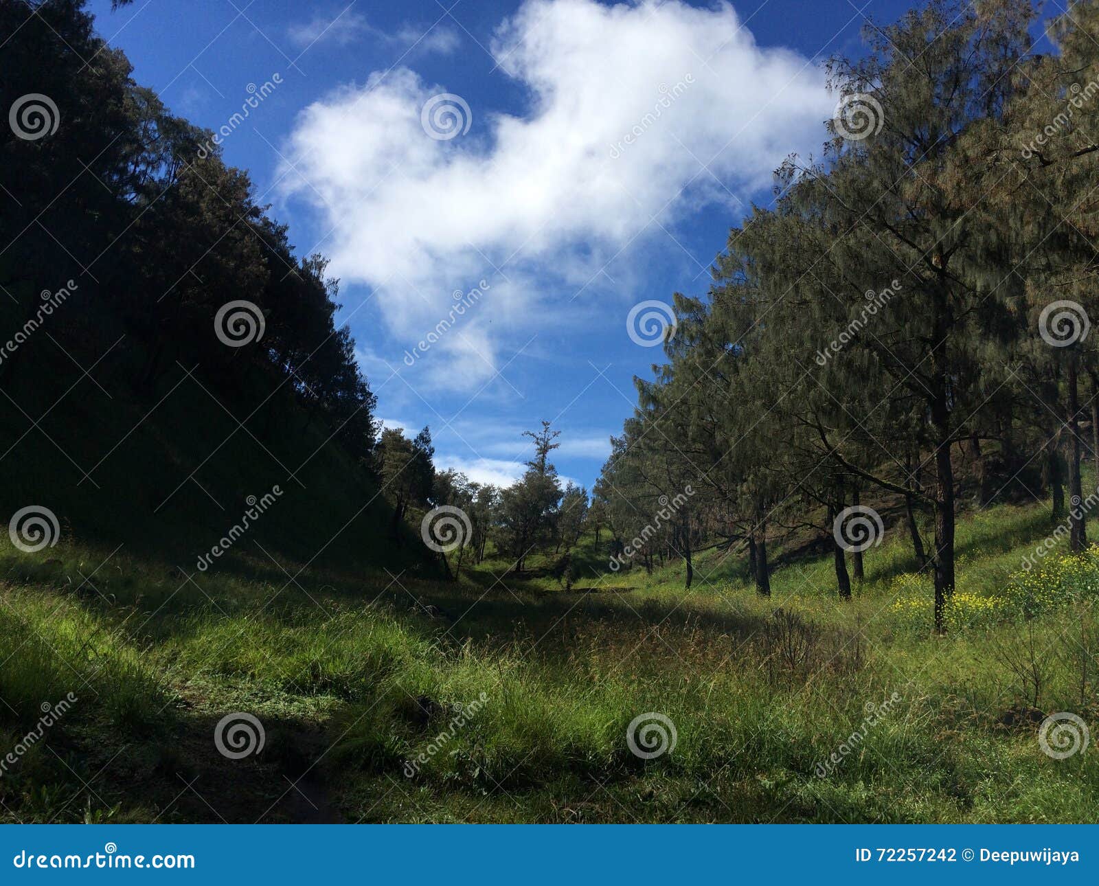 Lawu mountain stock photo. Image of lawu, mountain, peperangan - 72257242