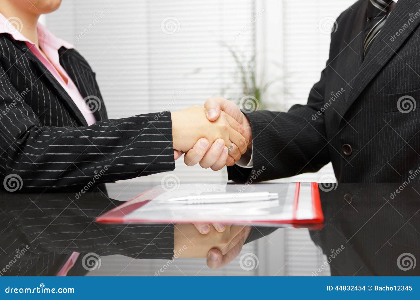 Lawyer and Client are Handshaking after Successful Meeting Stock Photo ...