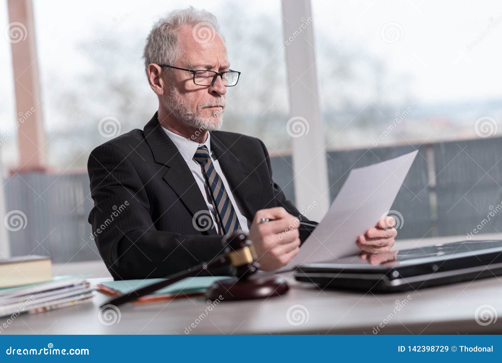 Lawyer Reading Legal Document Stock Image - Image of notary, judgment ...