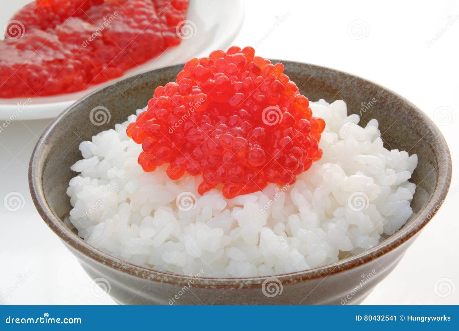 Laxfiskrom Med Ris, Japansk Mat Fotografering för Bildbyråer - Bild av ...