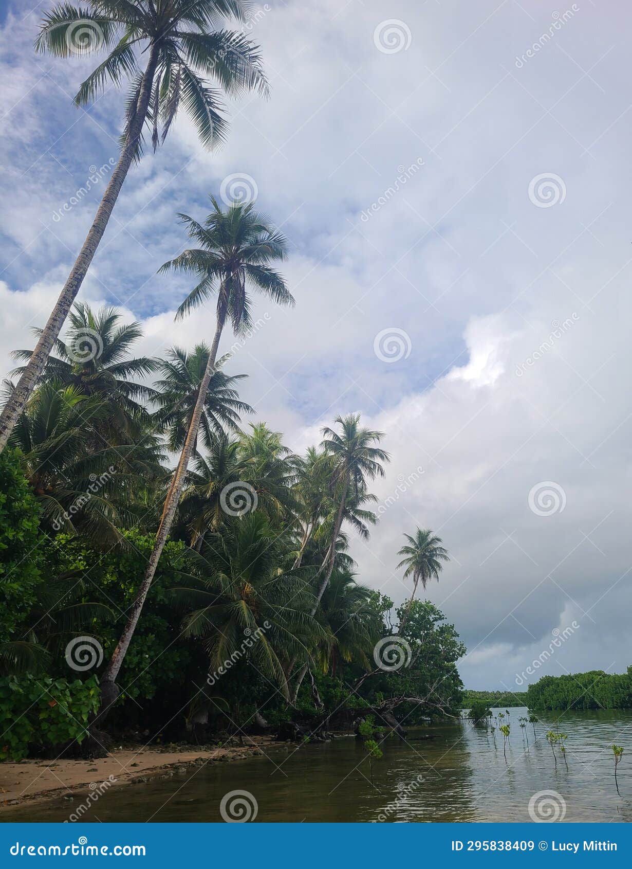 Lay Beach. Yap Island stock image. Image of island, beach - 295838409