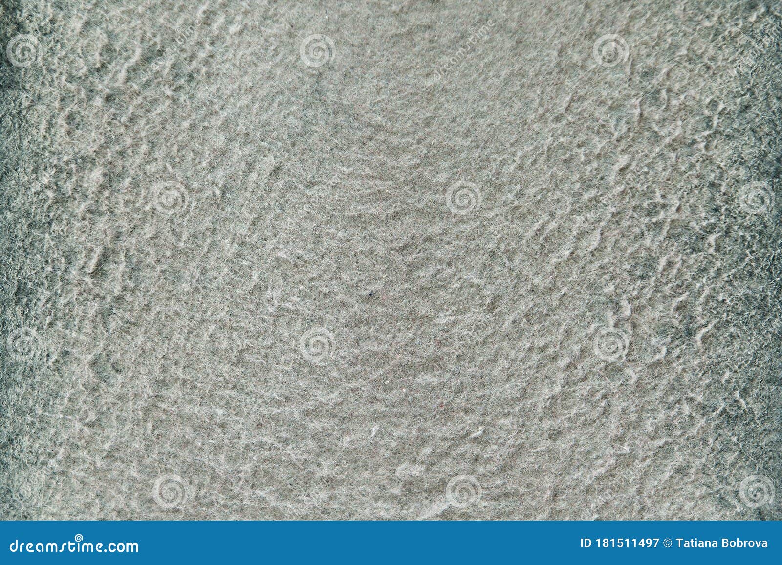 A Layer of Dust on a Contaminated Charcoal Filter that Was Used To ...