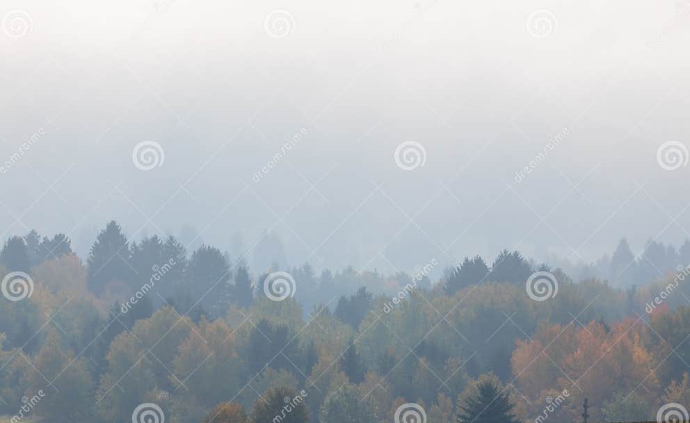 Layer of Fog Over a Mountainous Forest Stock Image - Image of beautiful ...