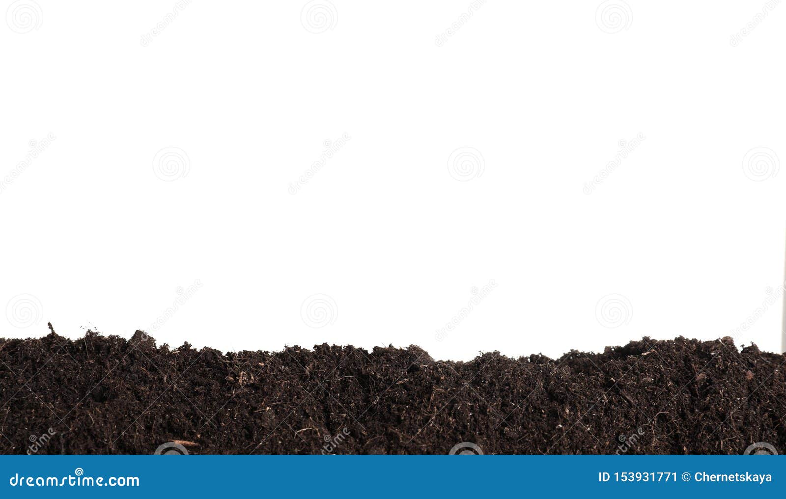 Layer of Fresh Soil on White. Gardening Time Stock Image - Image of ...