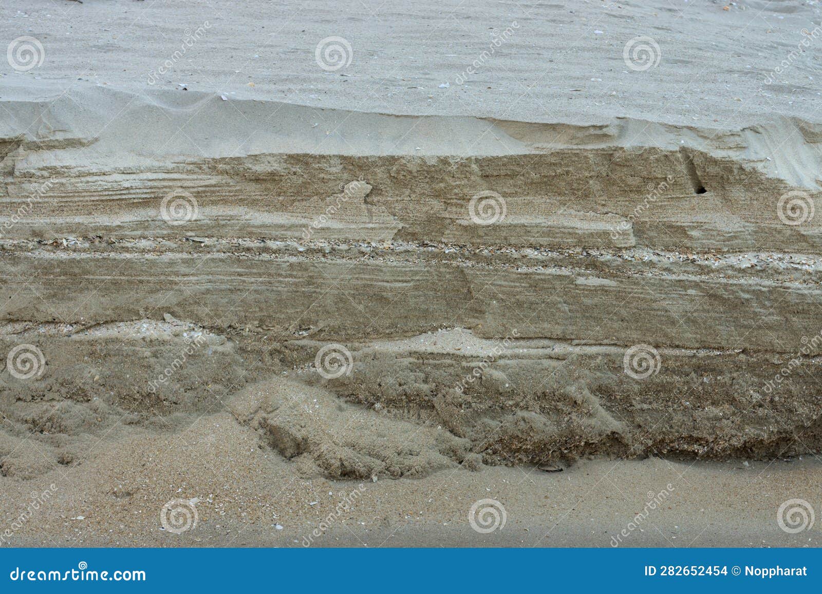 Layer of sand at the beach stock photo. Image of nature - 282652454