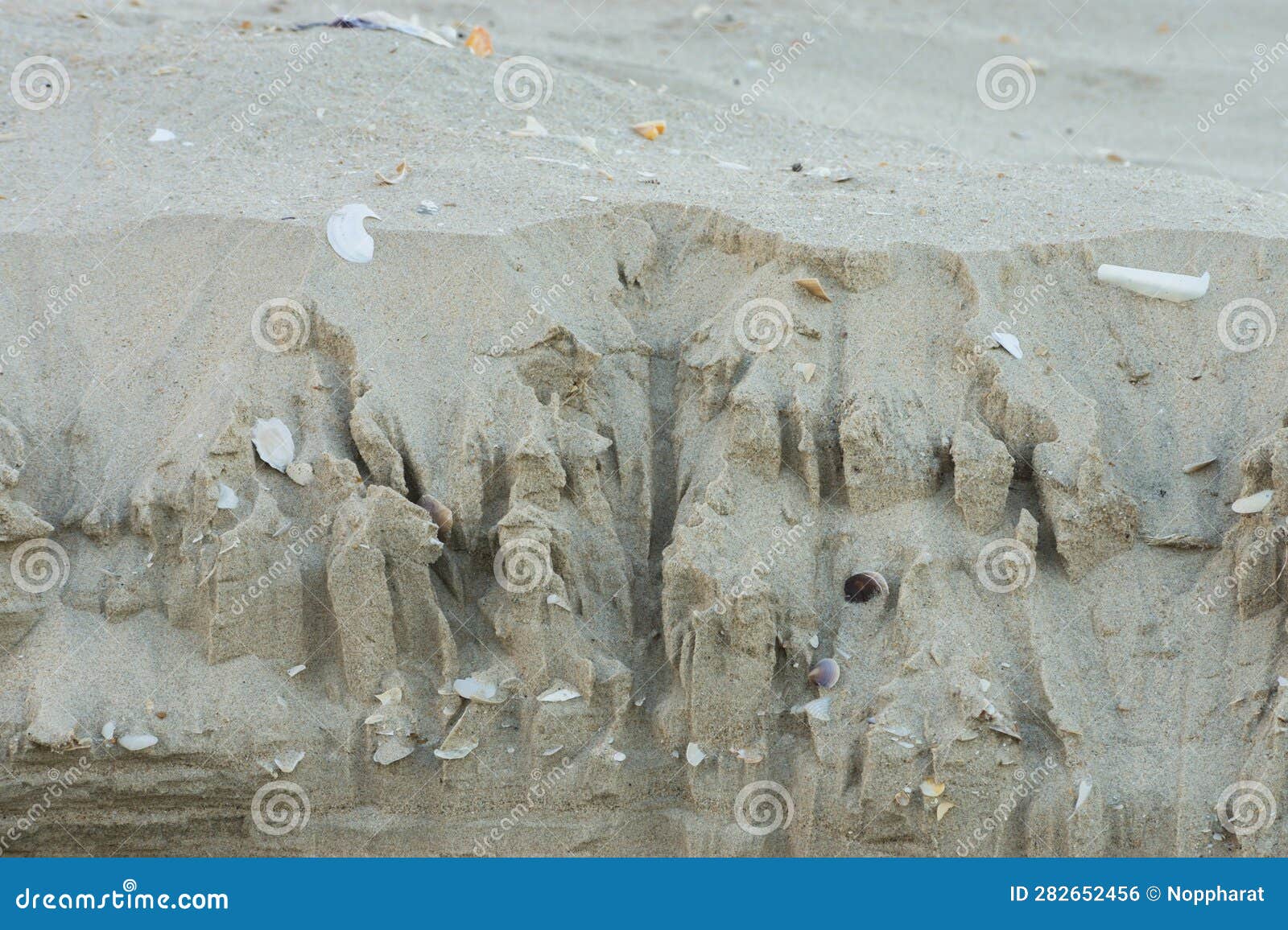 Layer of sand at the beach stock photo. Image of surface - 282652456