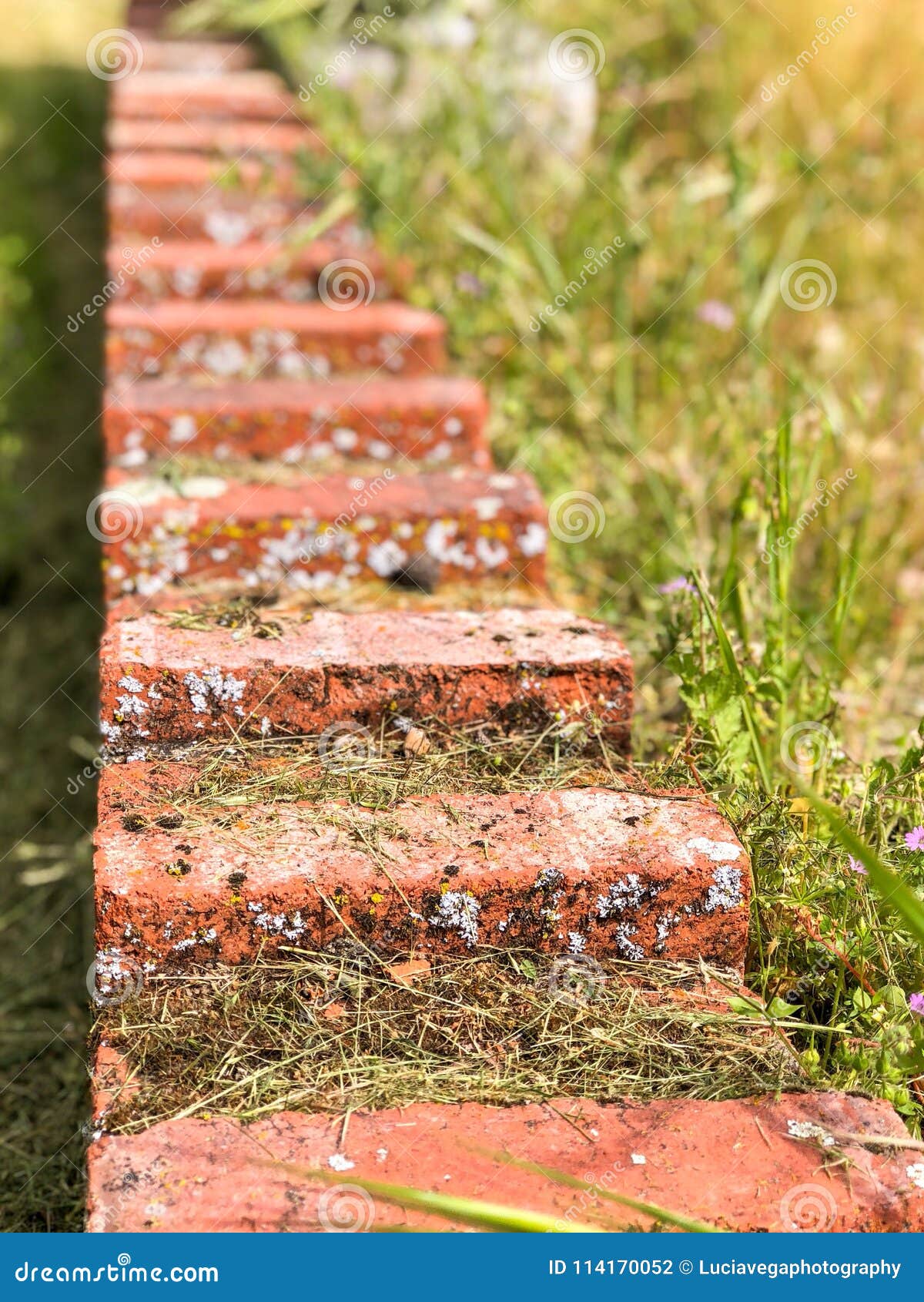Layered Bricks in Graveyard Stock Photo - Image of outside, cemetery ...