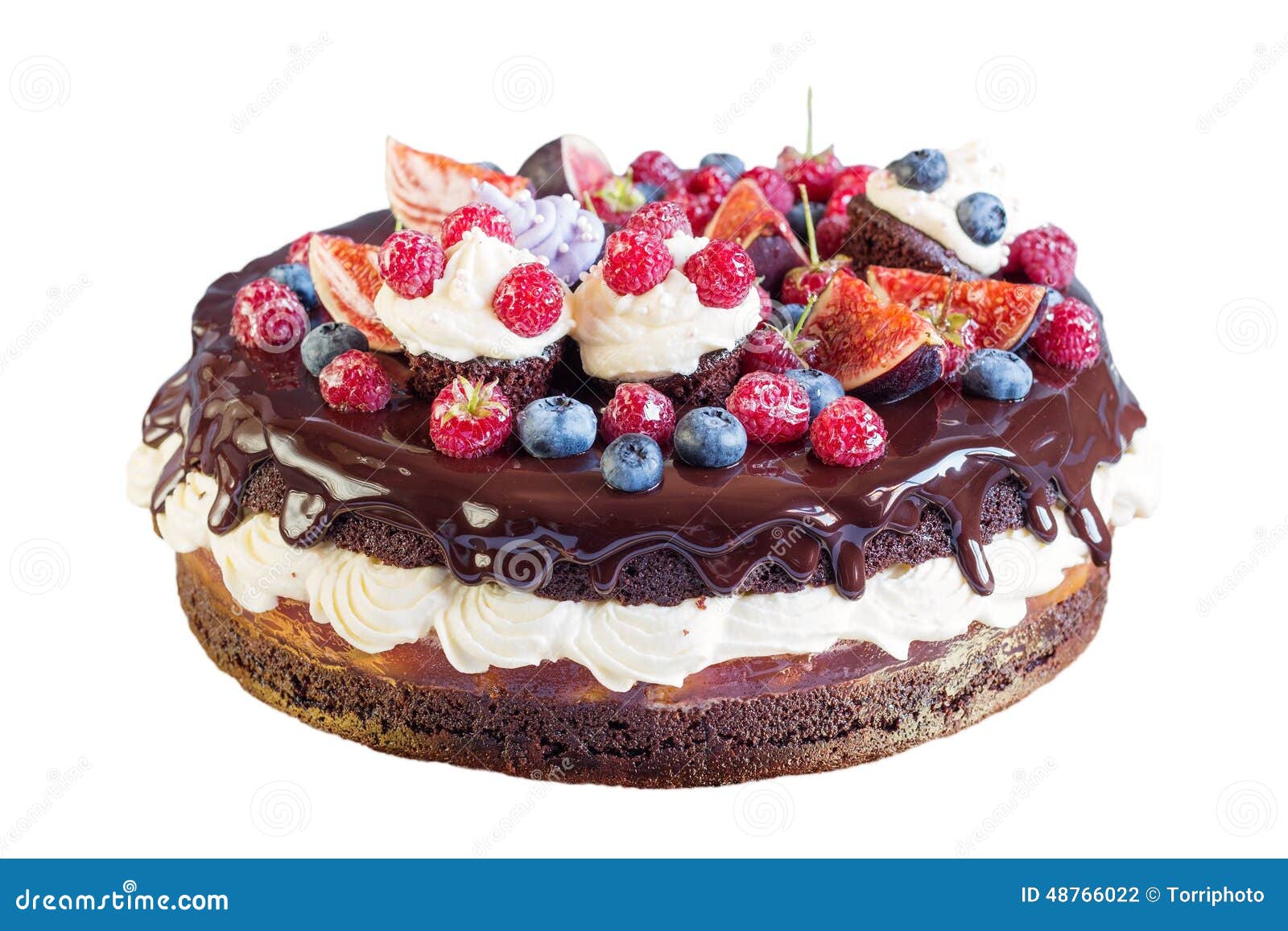 Layered Chocolate Cake with Fruit Isolated on White Stock Photo - Image ...