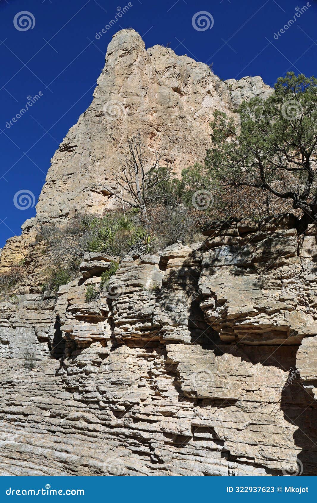 Layered cliff vertical stock image. Image of park, mountains - 322937623