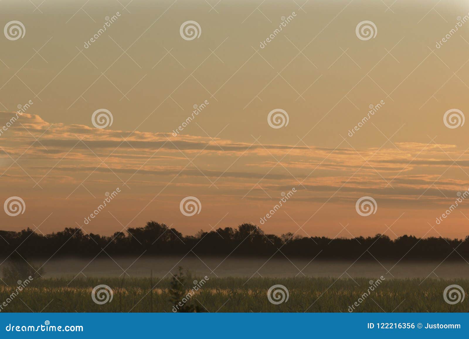 From Afar the Fog on the Background of the Forest Stock Photo - Image ...