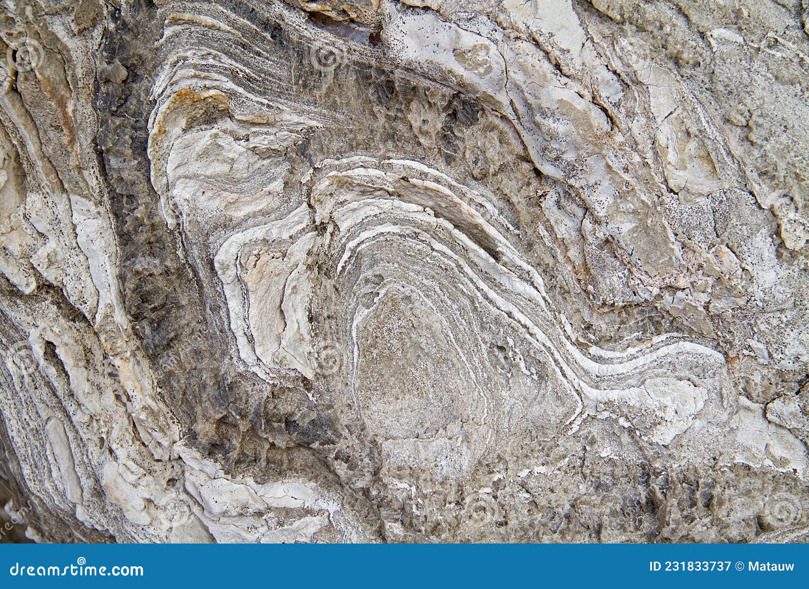 Layered rock, deformed. stock image. Image of detail - 231833737