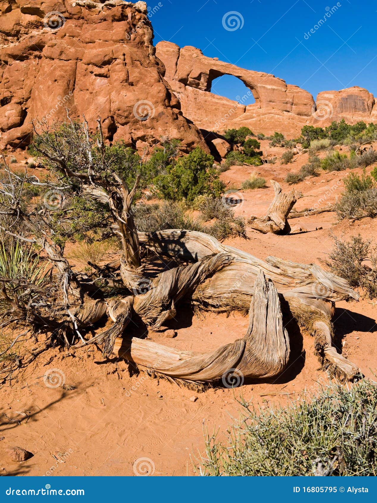 Layered Rock Formation stock image. Image of pathway - 16805795
