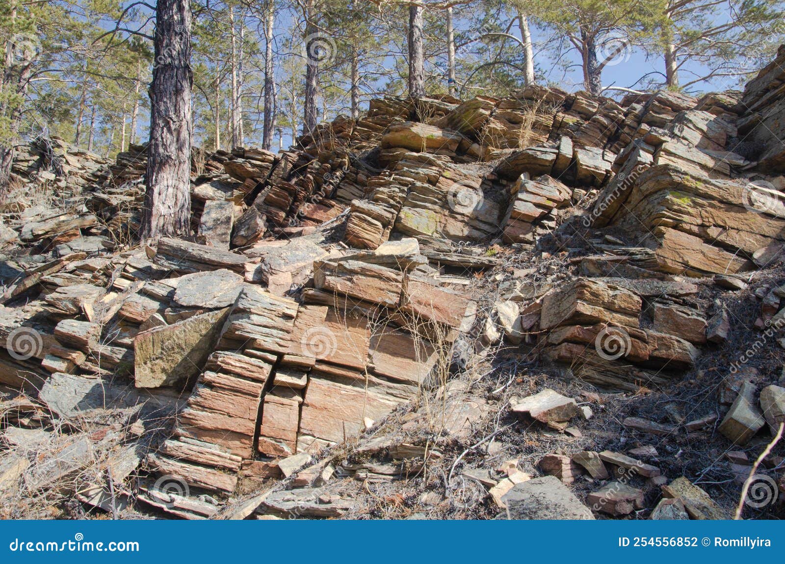 Layered Rocks Form Rocks in the Forest. Stock Photo - Image of rough ...