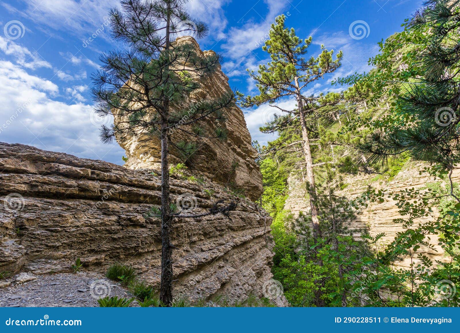 Layered Rocks Structure with Coniferous Forest on a Clear Day Stock ...