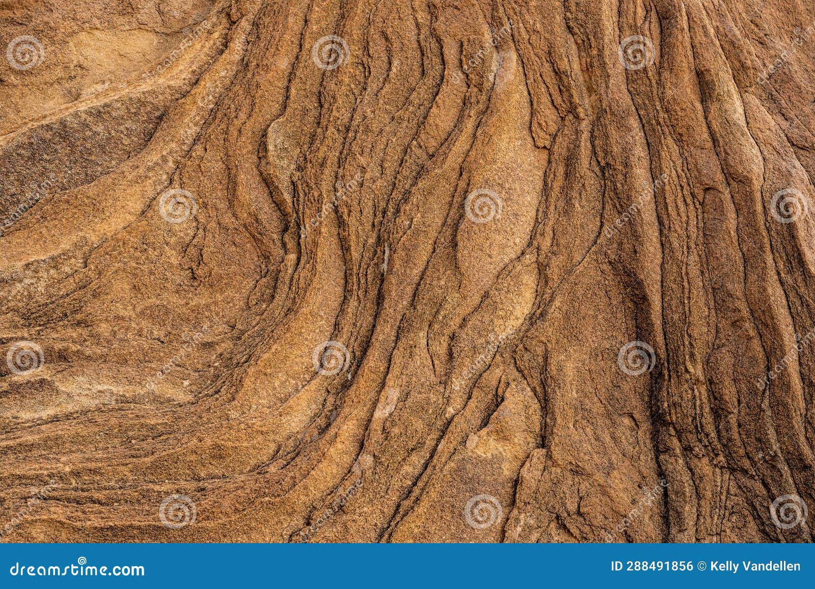 Layered Sandstone Ripples stock photo. Image of parkbrown - 288491856