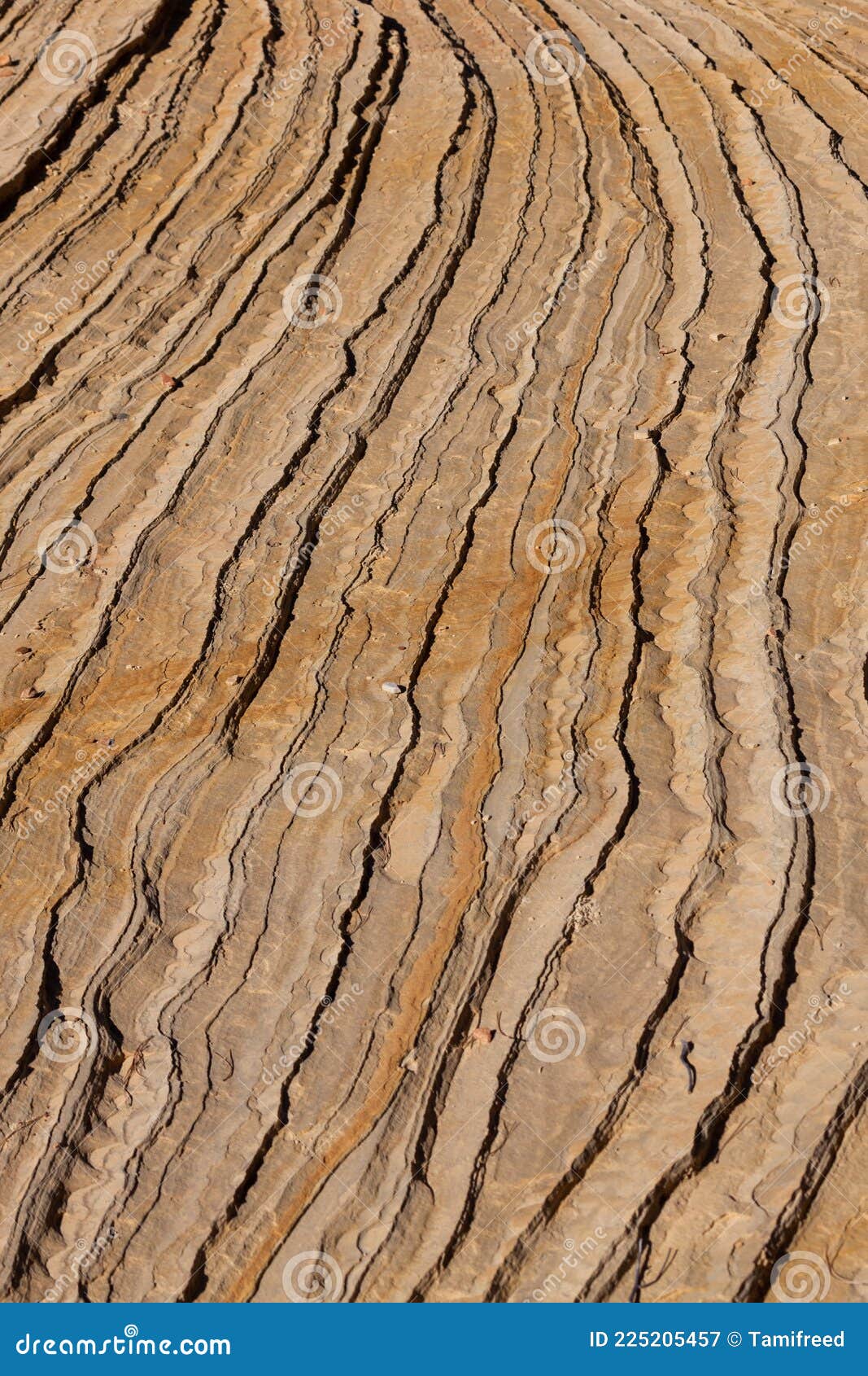 Layered Sandstone Surface stock image. Image of natural - 225205457
