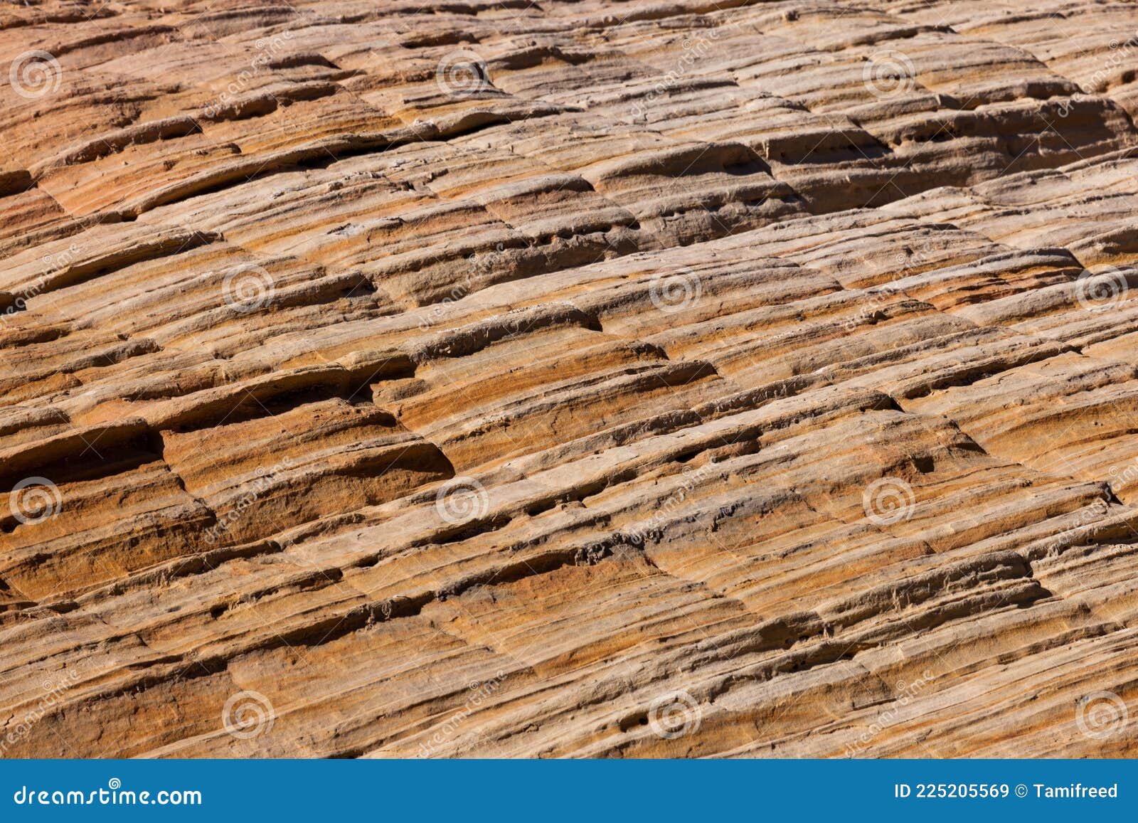 Layered Sandstone Surface stock image. Image of outdoor - 225205569