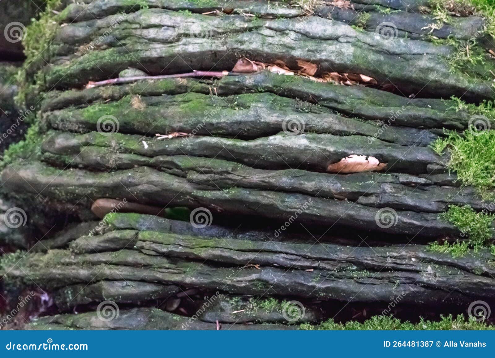 Layered stone texture stock image. Image of geological - 264481387