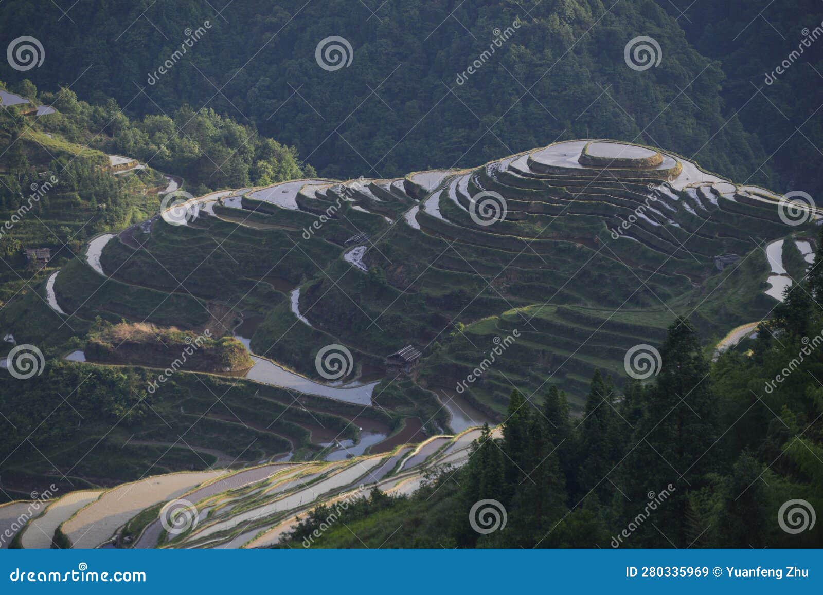 Layered Terraced Fields, Water-injected Terraced Fields Stock Image ...