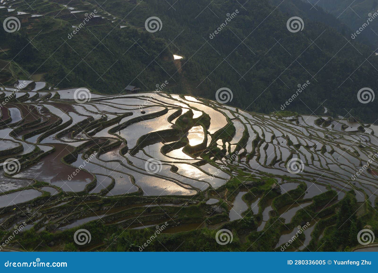 Layered Terraced Fields, Water-injected Terraced Fields Stock Image ...