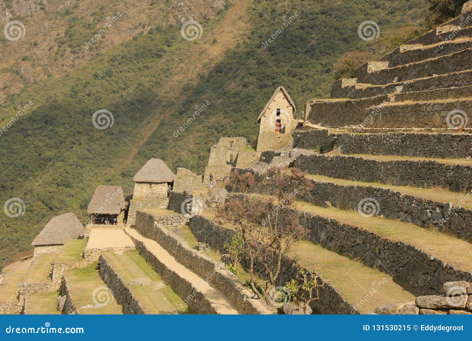 The Layered Terraces at Machu Picchu Stock Image - Image of modified ...