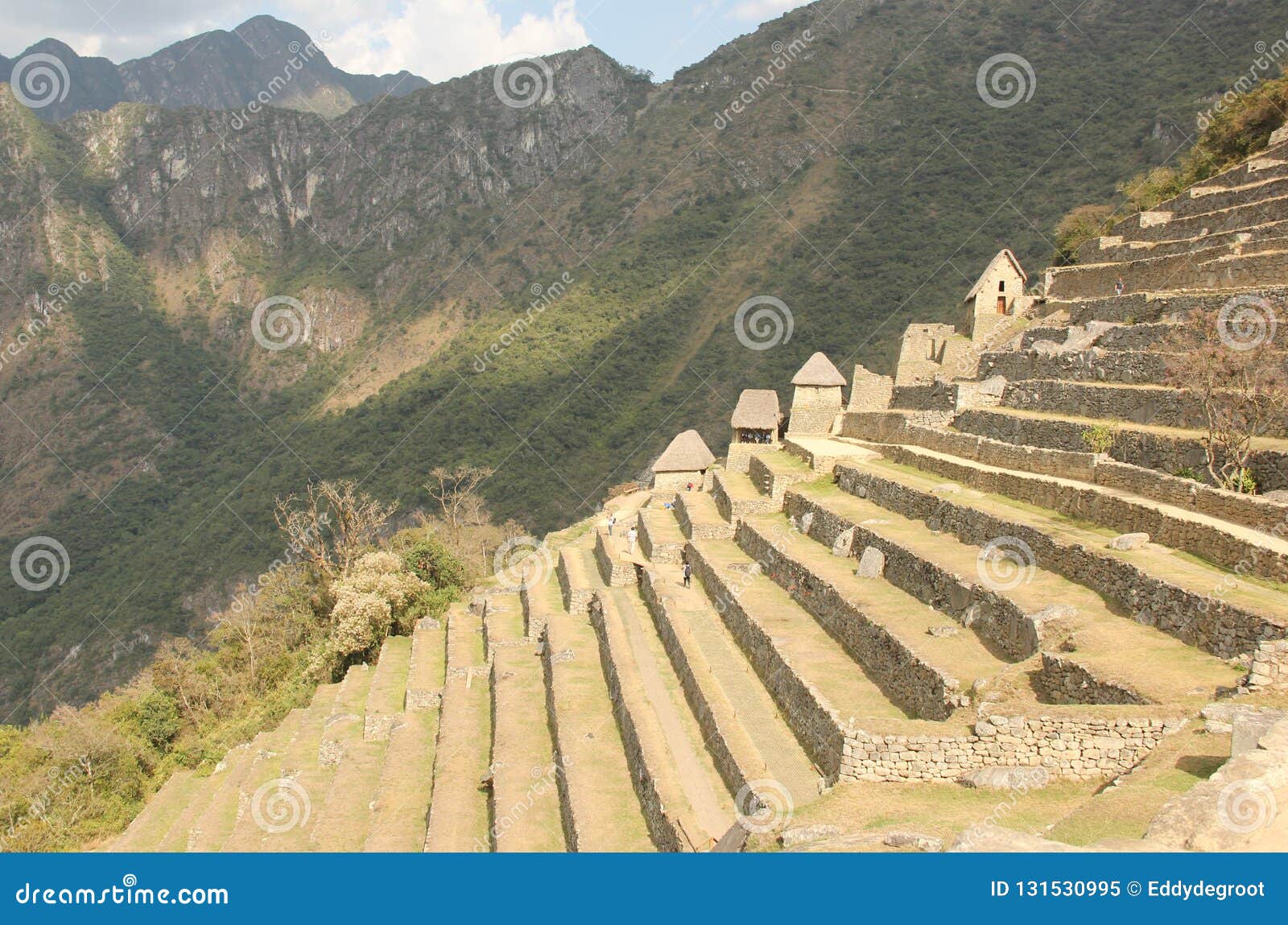 The Layered Terraces at Machu Picchu Stock Image - Image of andes ...