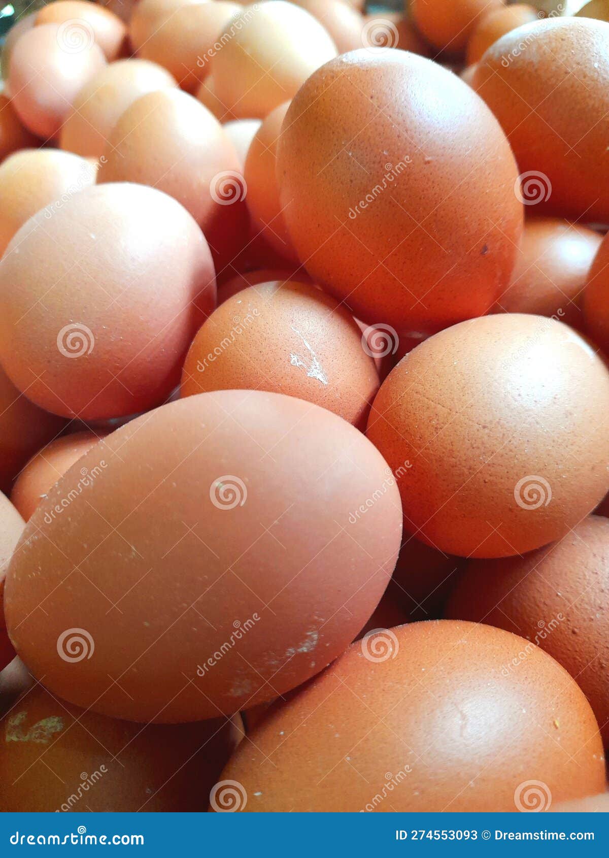 Layers of chicken eggs stock image. Image of fruit, flower - 274553093
