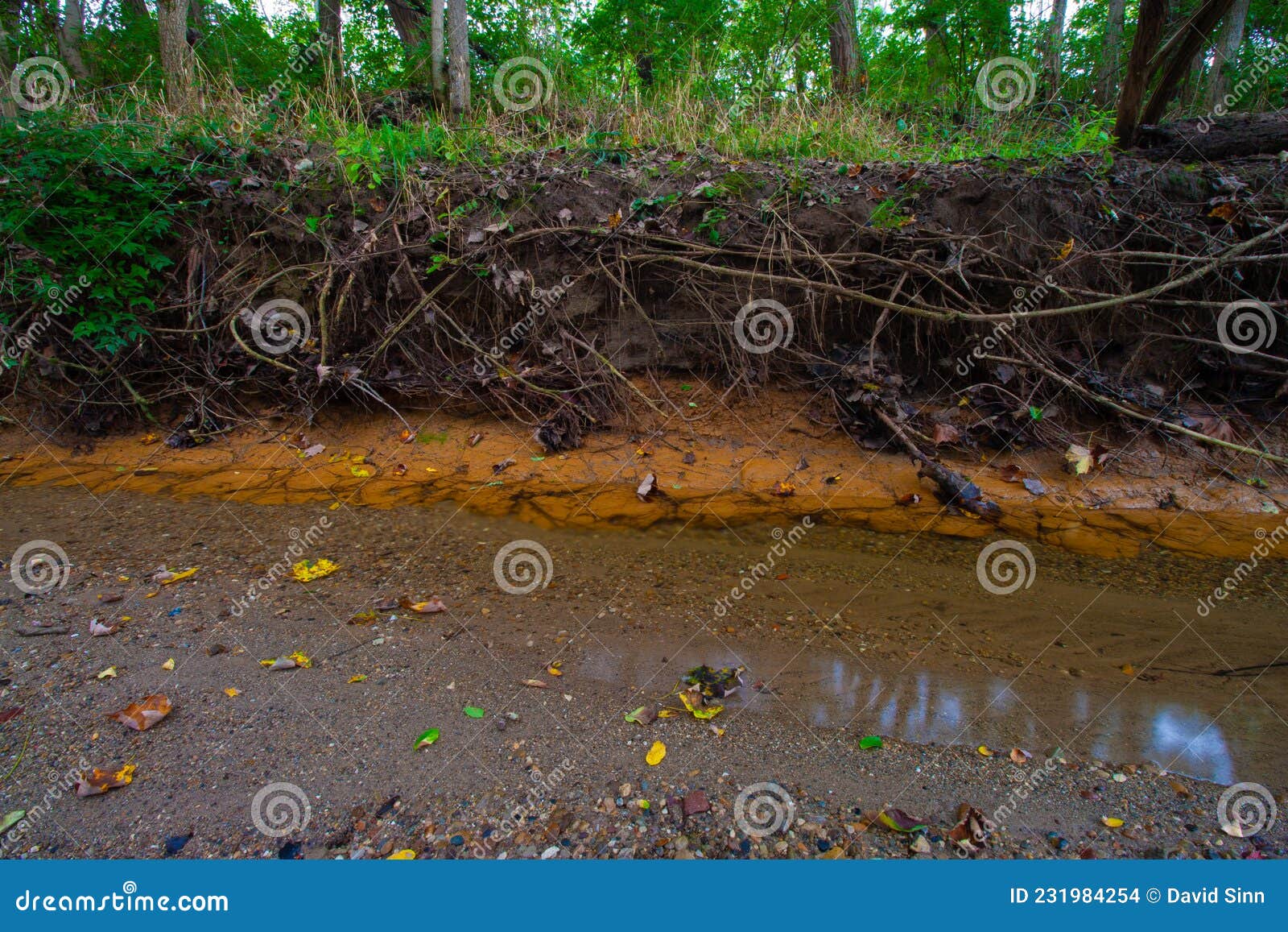 Layers in a Creek Bed stock photo. Image of stream, geology - 231984254