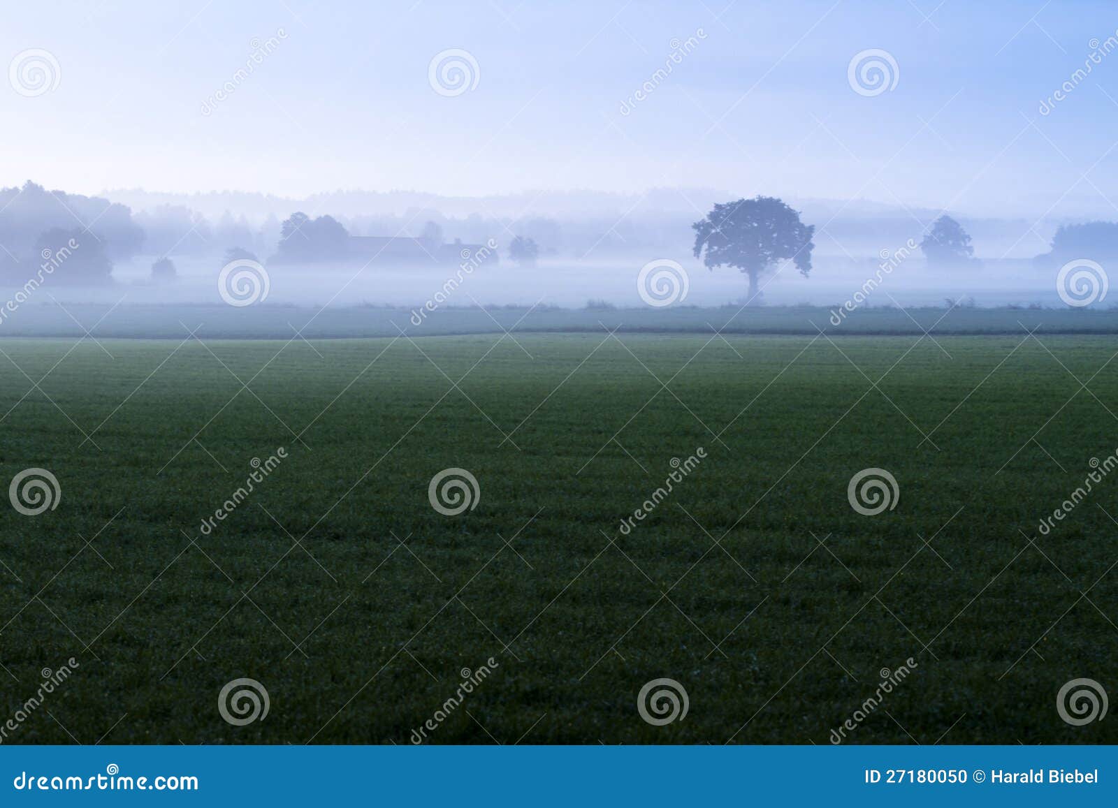 Layers of Mist and Fog in the Early Morning Stock Photo - Image of ...