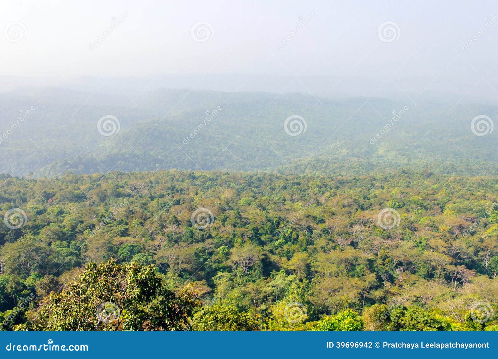 Layers of a mountain stock photo. Image of forest, beautiful - 39696942