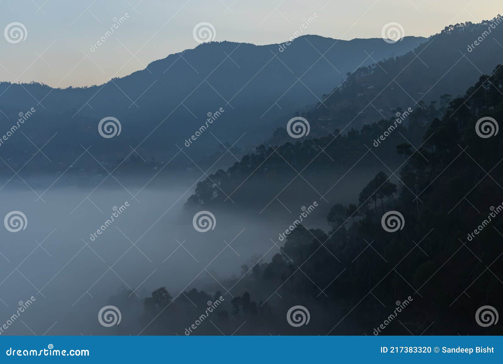 Layers of Mountains with Pine Trees and Mist Stock Photo - Image of ...