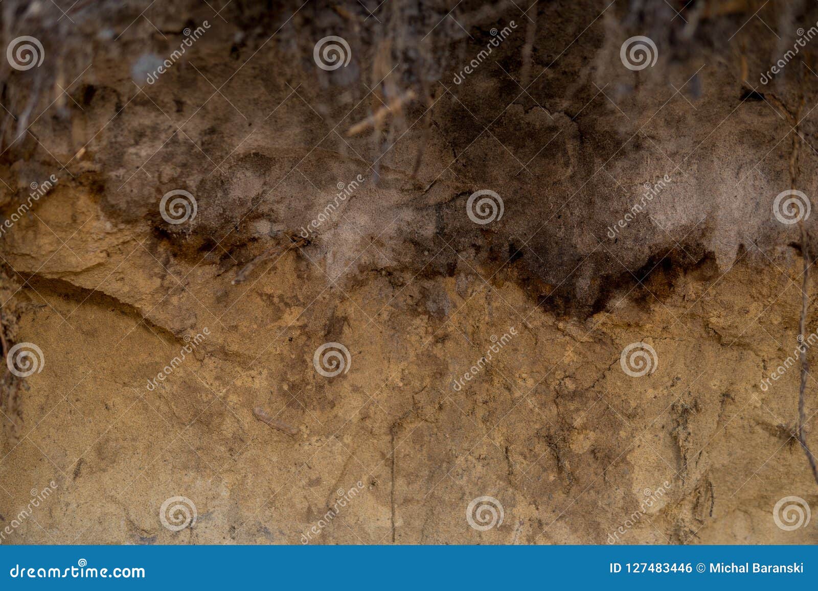 Layers of podzol soil stock photo. Image of land, grass - 127483446