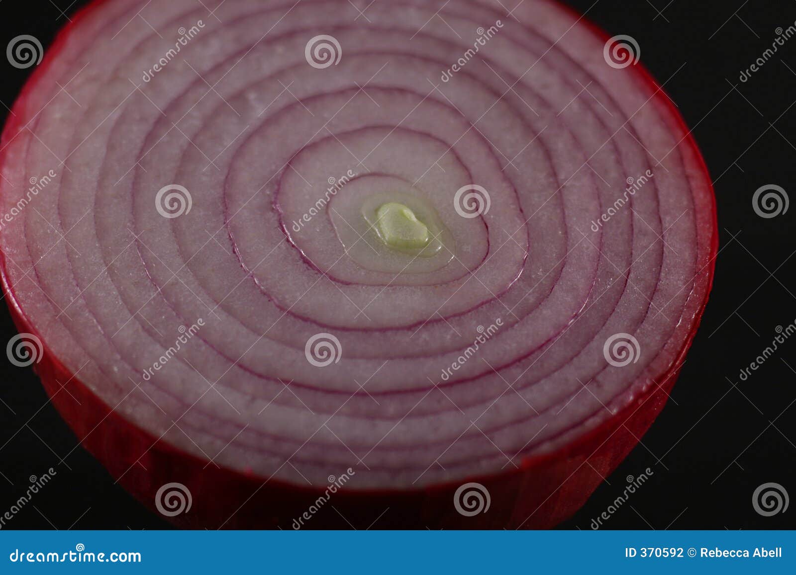 Layers of a red onion stock photo. Image of background - 370592