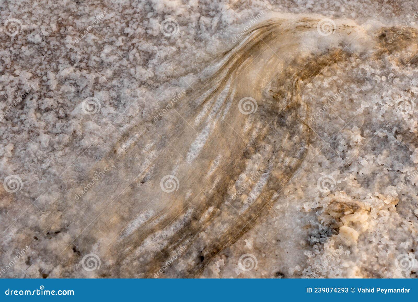 Layers and Crystals of Salt Created in the Salt Lake Stock Image ...