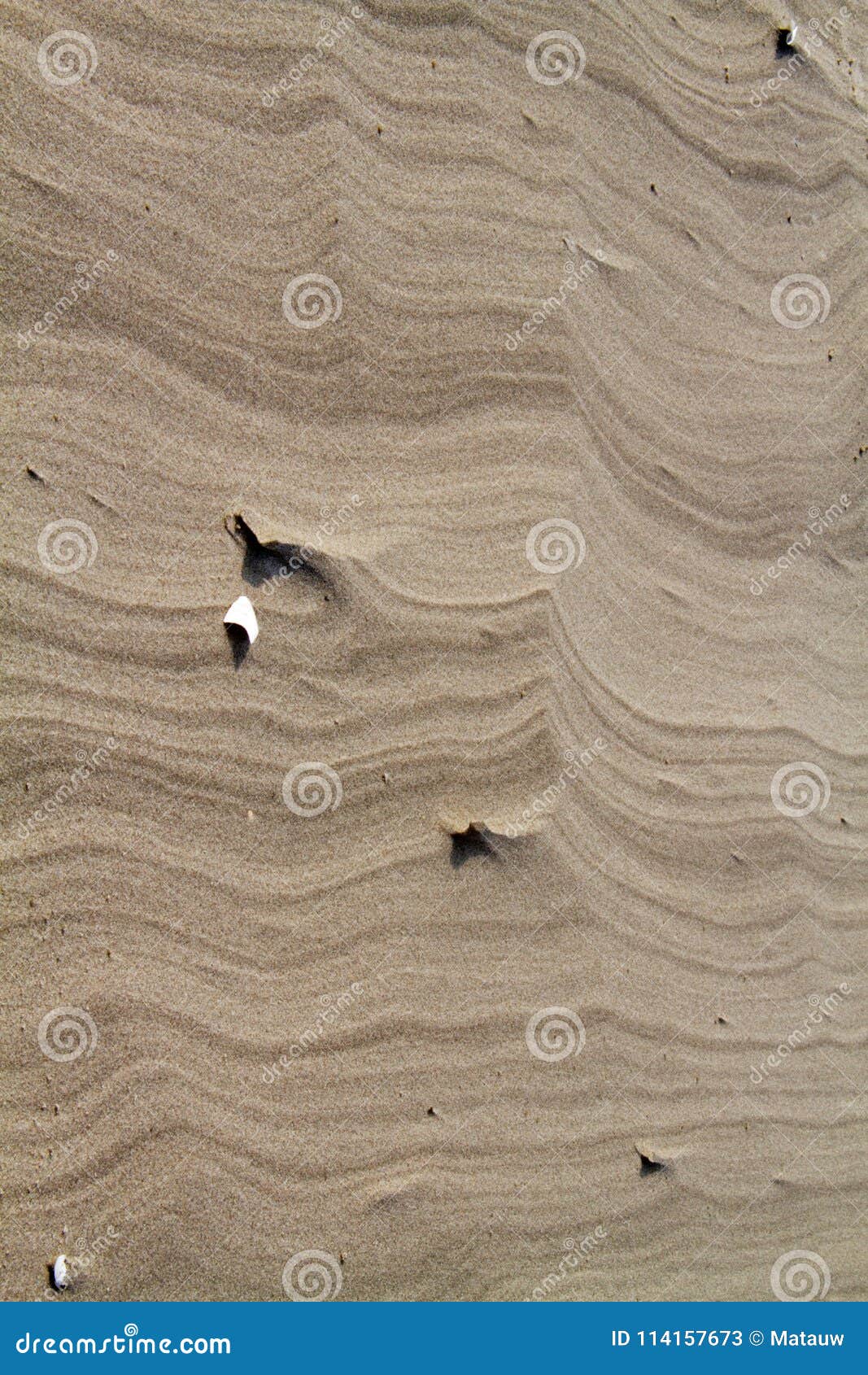 Layers in the Sand of a Beach Stock Image - Image of show, geological ...