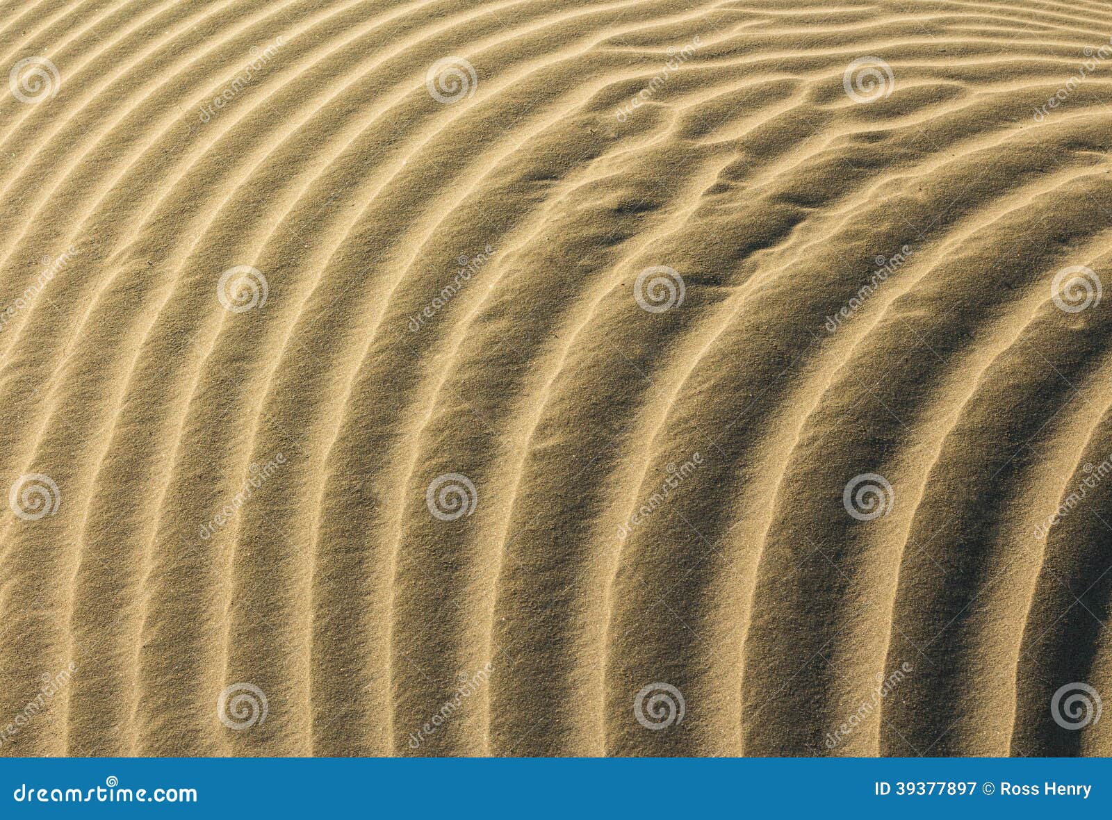 Layers of Sand stock image. Image of layers, dunes, golden - 39377897