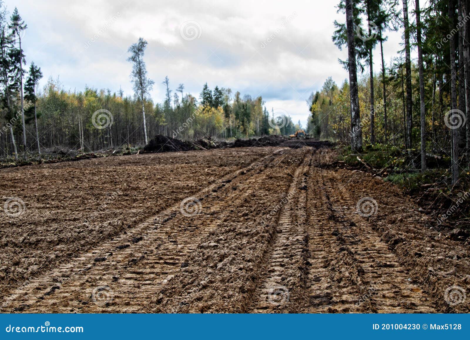 Laying and Construction of Roads in the Forest Stock Photo - Image of ...