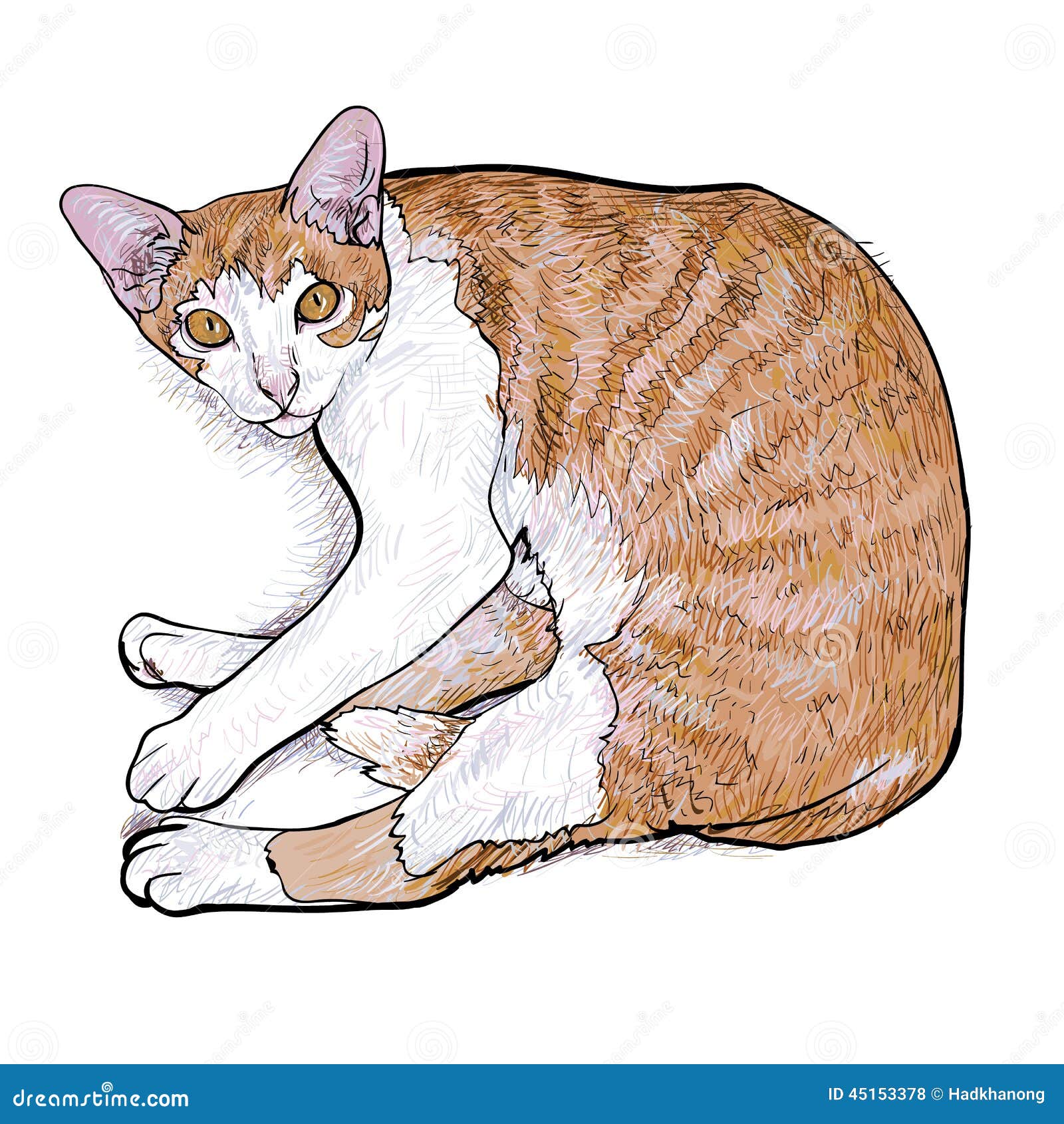 Laying Down Cat.vector Illustration Stock Vector - Illustration of ...