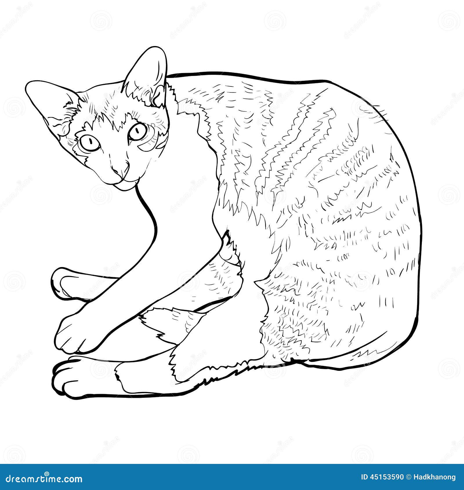 Laying Down Cat.vector Illustration Stock Vector - Illustration of ...