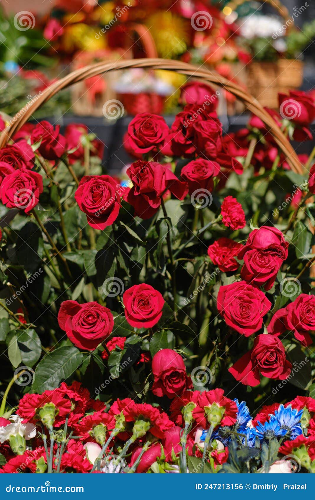 Laying Flowers on Victory Day on the Ninth of May Stock Photo - Image ...