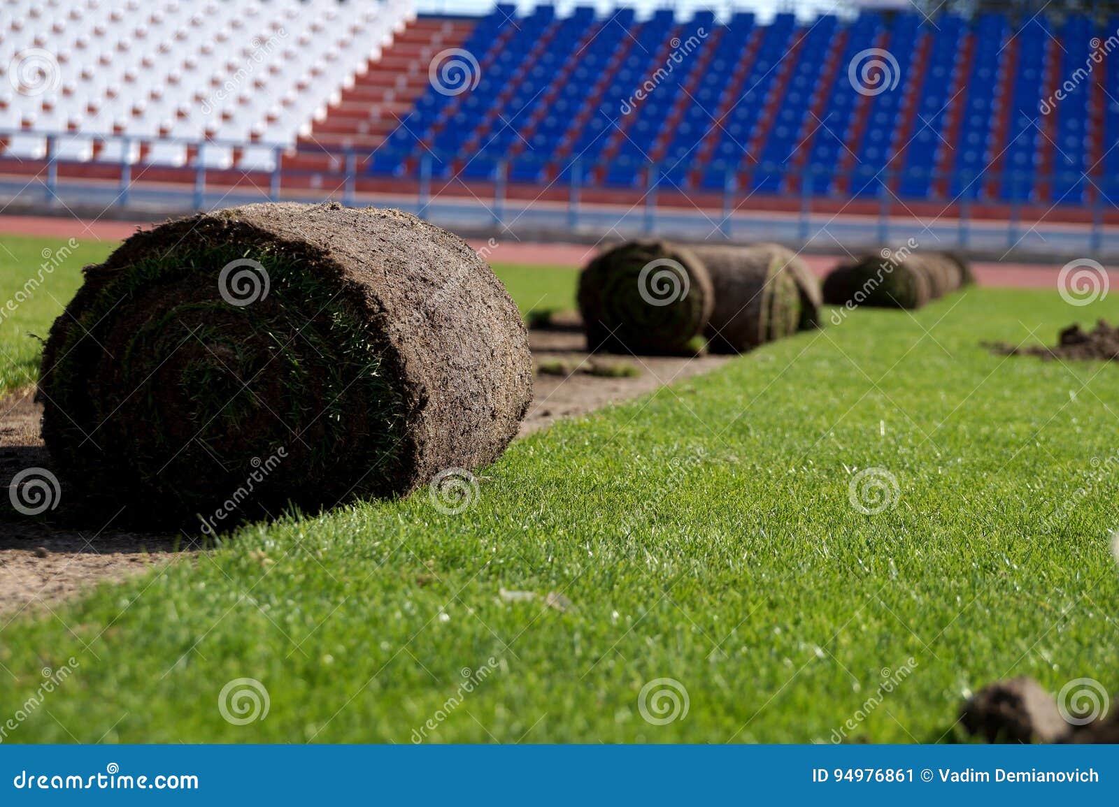 Laying of a Grass Rolled Lawn at Stadium Stock Image - Image of fresh ...