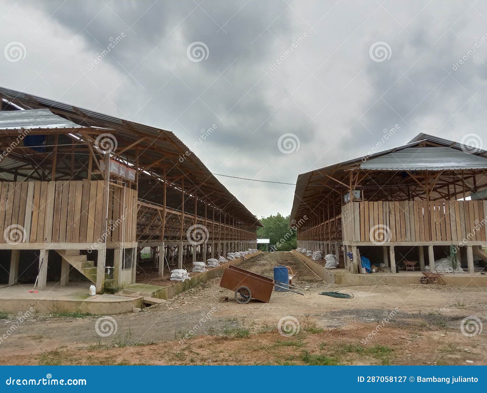 Laying hen cage stock image. Image of arena, farm, wood - 287058127