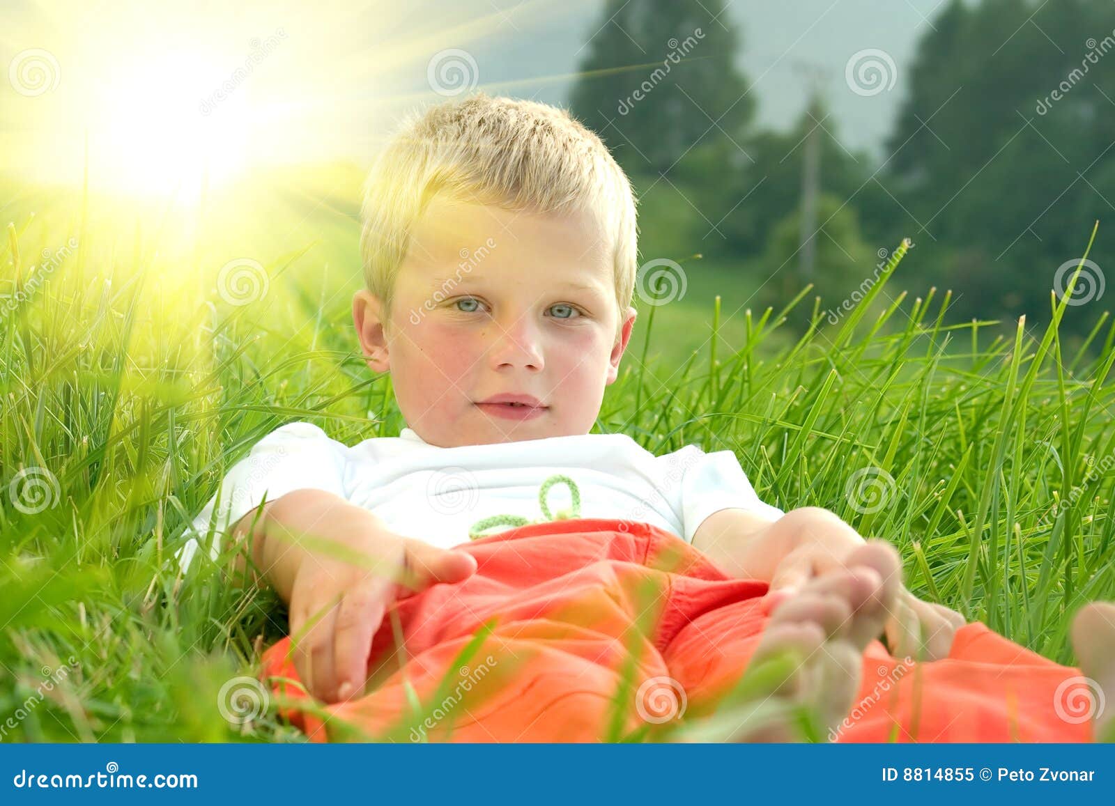 Laying little boy stock image. Image of pretty, sunbeam - 8814855