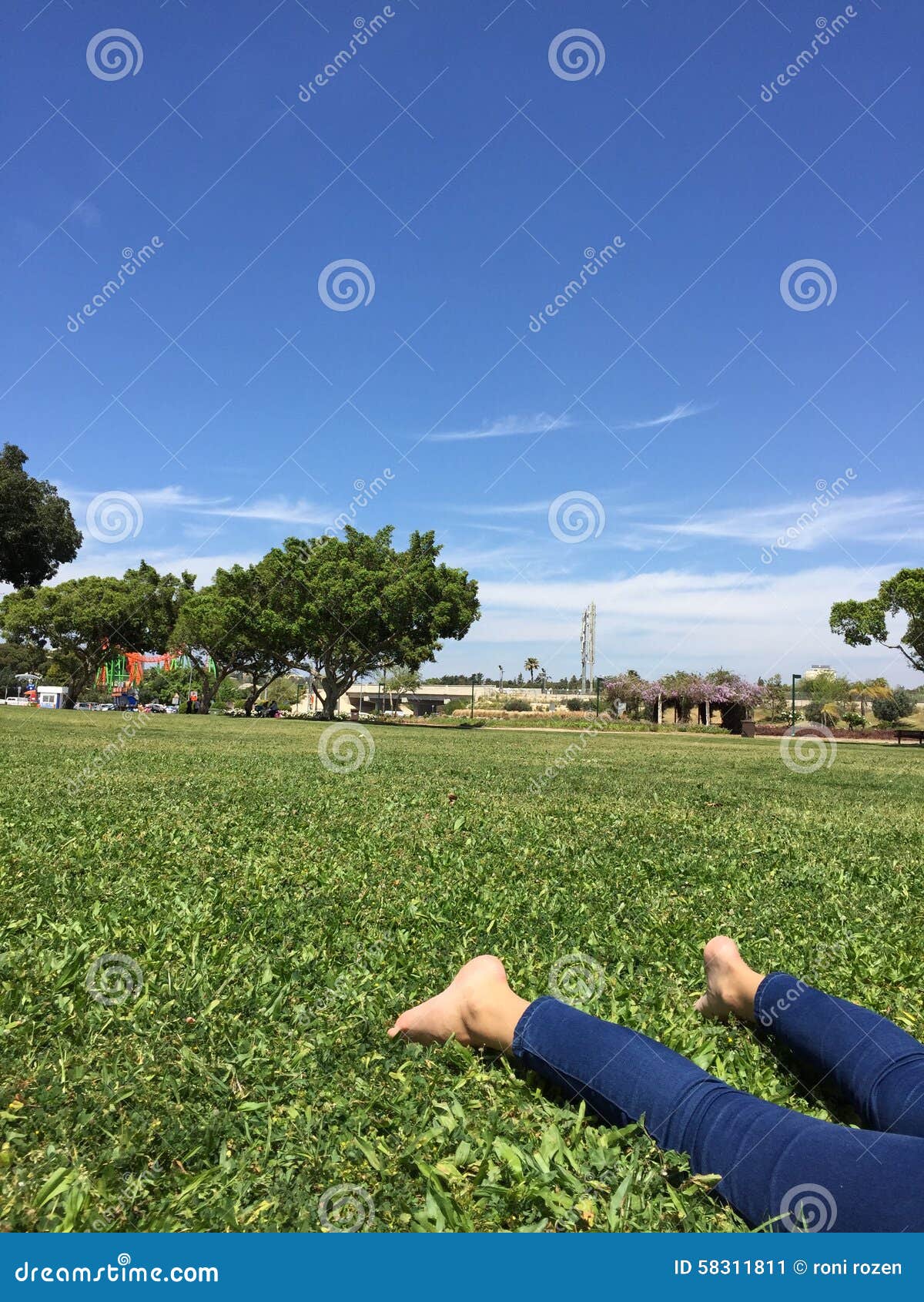 Laying in the park stock image. Image of laying, chilling - 58311811